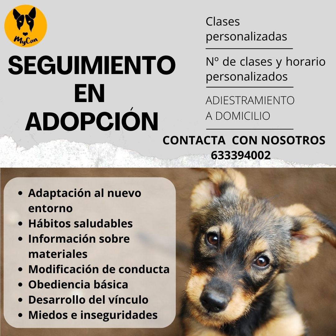 Seguimiento en adopción – MyCan