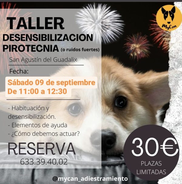 Cambio de día!!Taller desensibilización a pirotecnia o ruidos fuertes ...