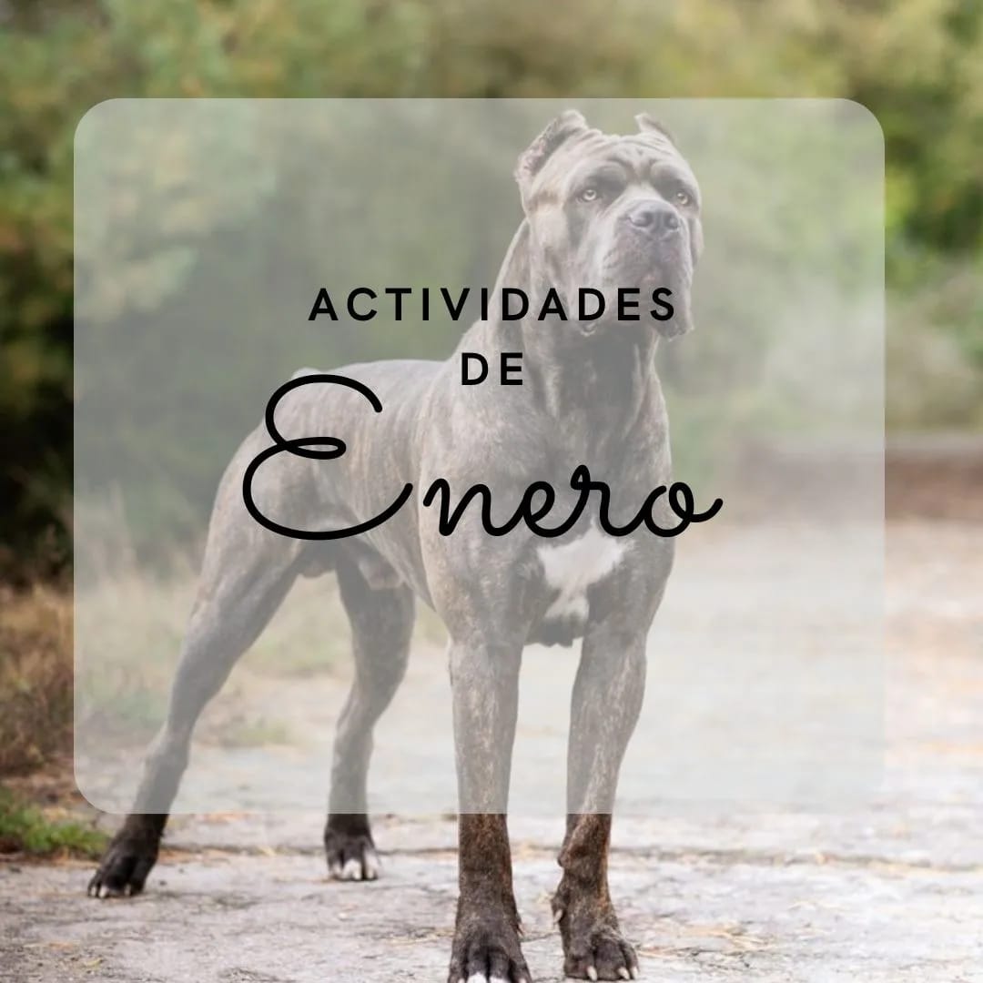 Novedades para 2024 – MyCan