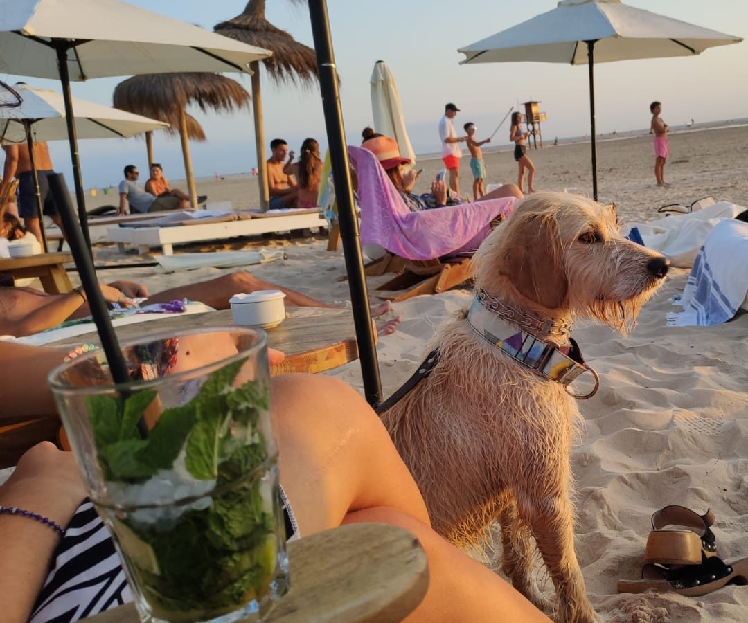 Importancia del descanso – MyCan